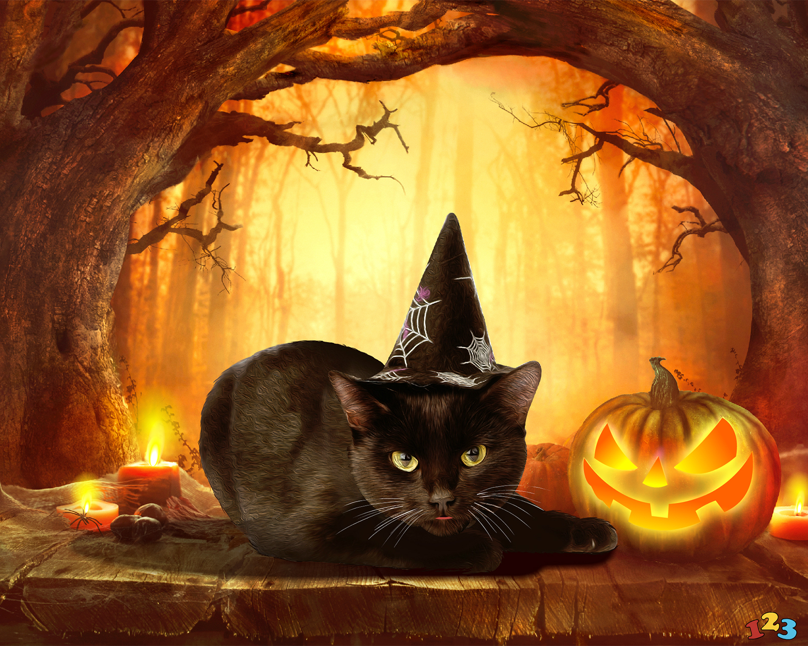 Sort kat - Halloween - gratis postkort fra 123kort.dk