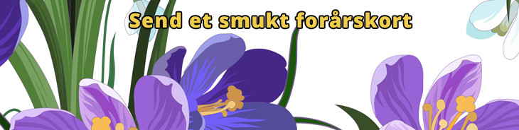 Gratis postkort, fødselsdagskort & invitationer - send et kort fra ...